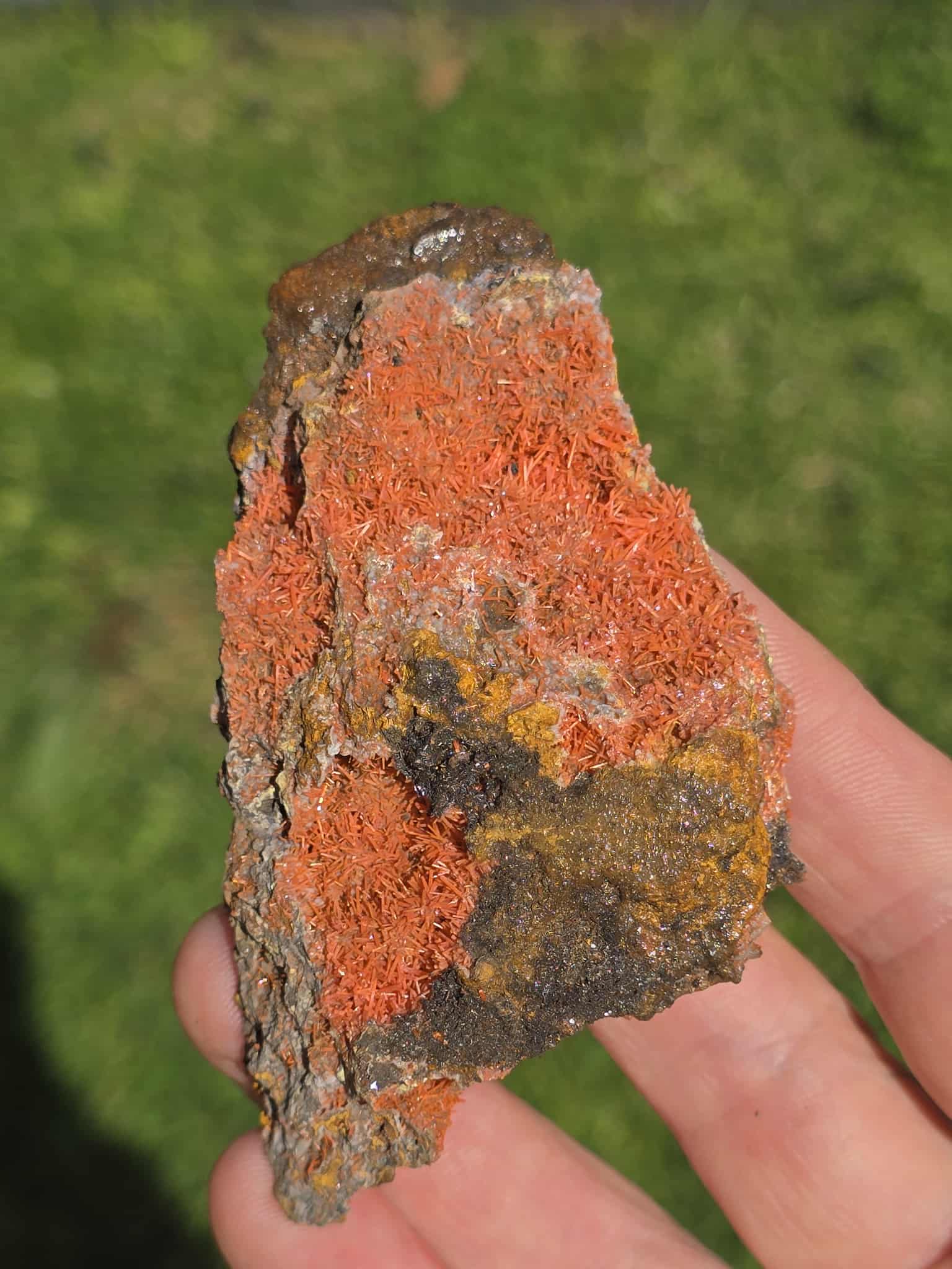 Rare Crocoite specimen Lrg – theoldmouldy