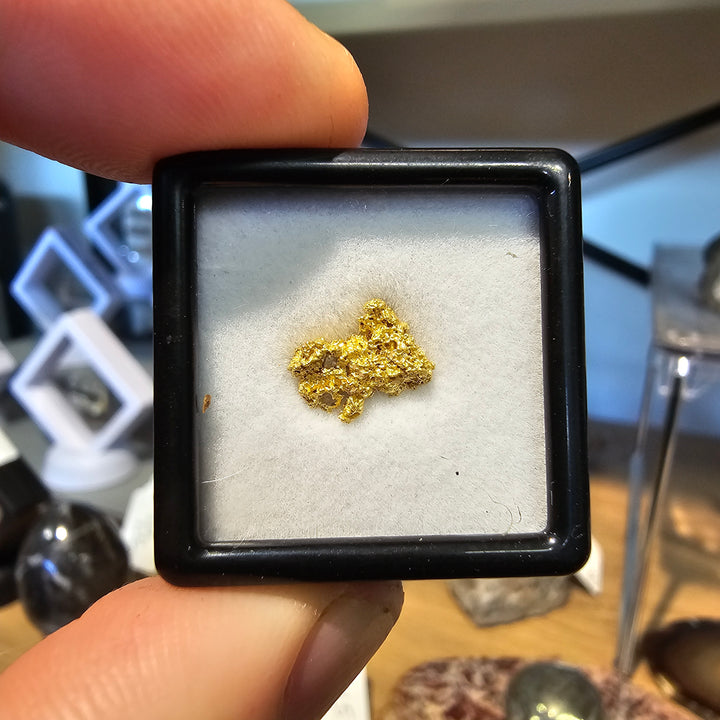 Nuggets – theoldmouldy